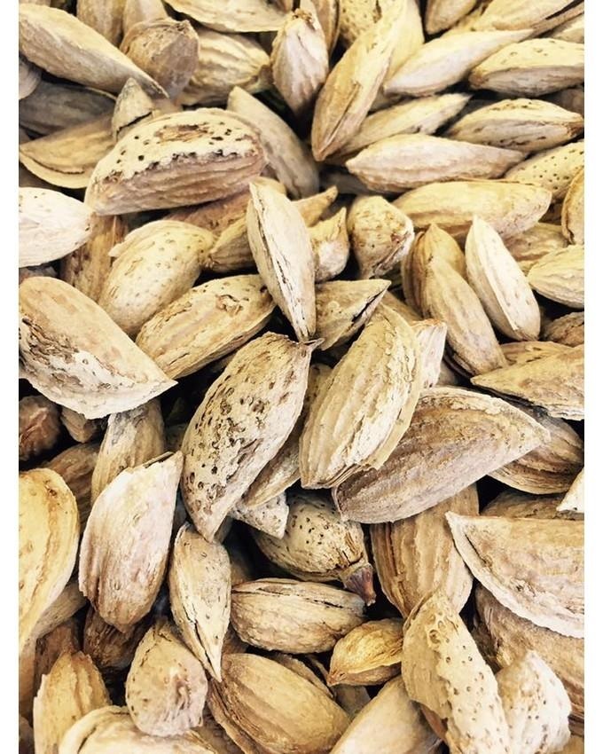 Almond (Badaam) Talwar | Talwar Badaam / Badam / 1 Kg - White Talwar ...