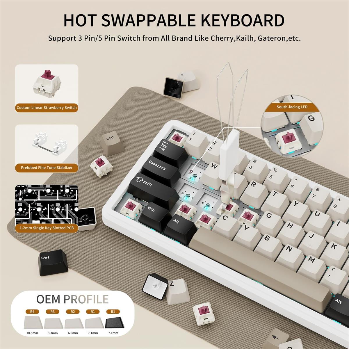 Attack Shark X66 (White Cheese) | Wireless Gaming Keyboard | Price in ...