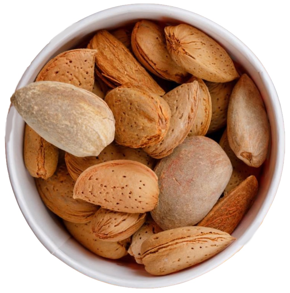 ALMONDS WITH SHELL in Pakistan for Rs. 1400.00 | The Nut House